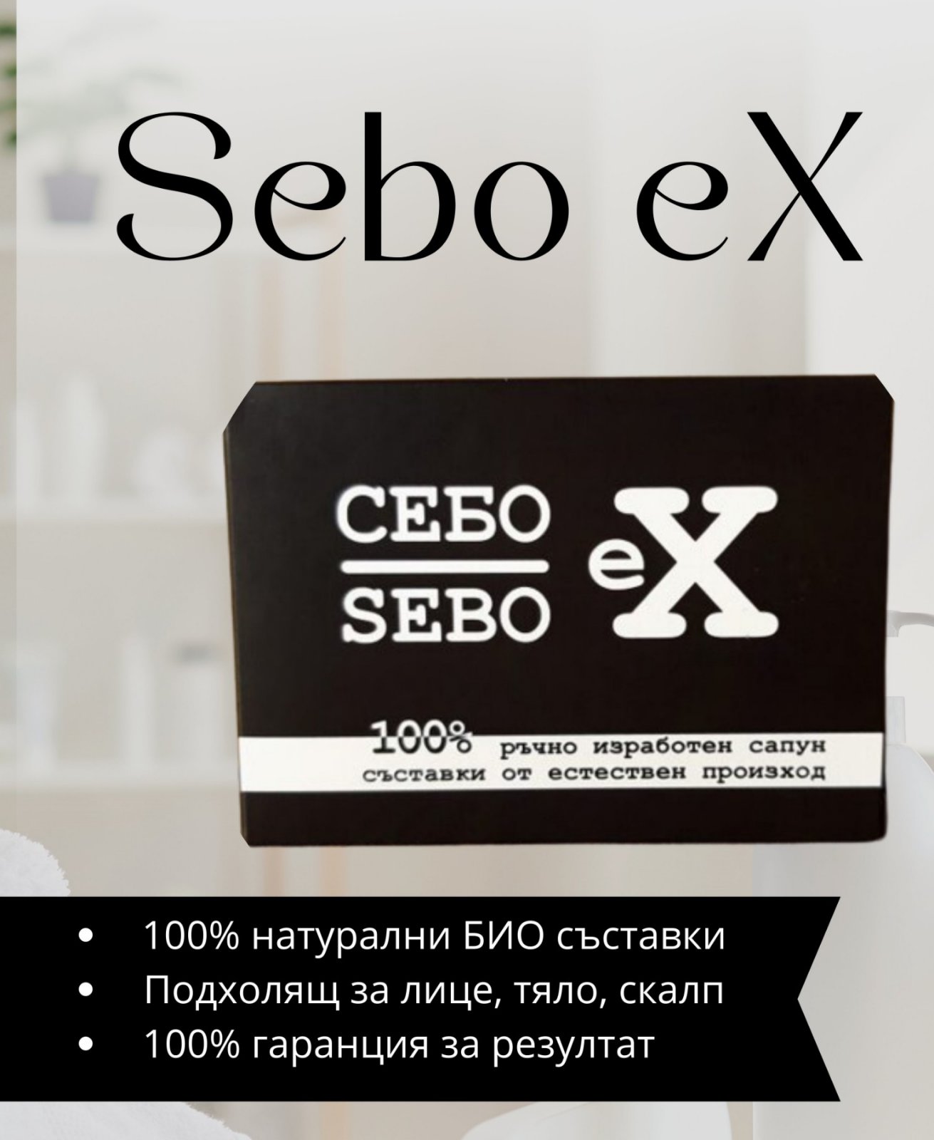Sebo-eX